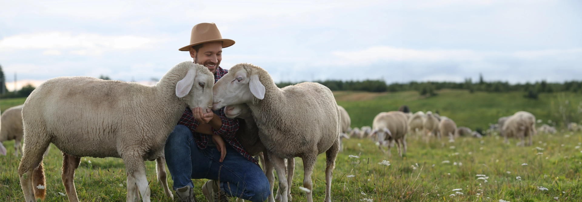Master of Science in Applied Animal Behavior and Welfare Master of Science in Applied Animal Behavior and Welfare